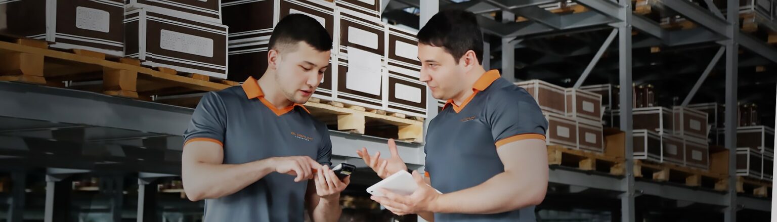 ᐉ Globalink Logistics list of transport services • All transport ...